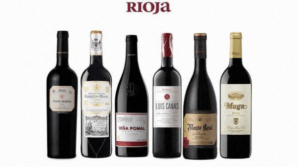 Les vins de Rioja, le fleuron des vins espagnols - Apéritissimo ...