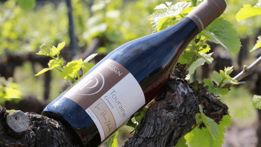 Le vin AOC : un gage de qualité - Apéritissimo - septembre 2025